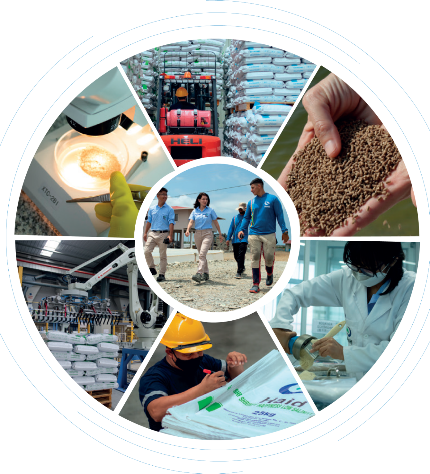 Haid Ecuador - Haid Ecuador